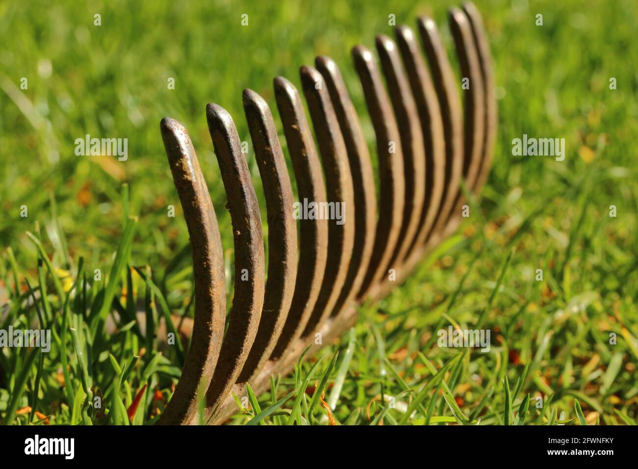 Lawn tool hi-res stock photography and images - Alamy