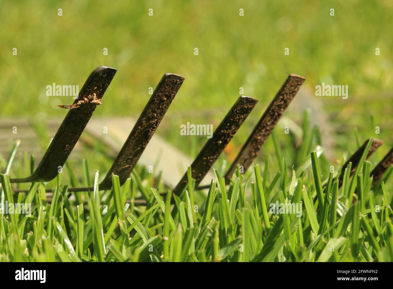 Tranquil rake hi-res stock photography and images - Alamy