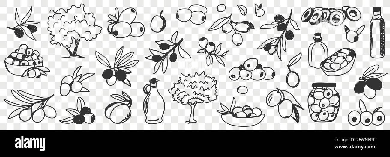 Olive oil production doodle set. Collection of hand drawn various olive ...
