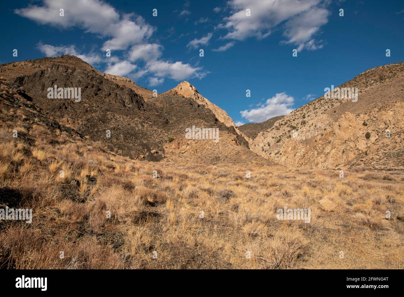 Black Canyon is home to mines and off-roading fun in the White ...