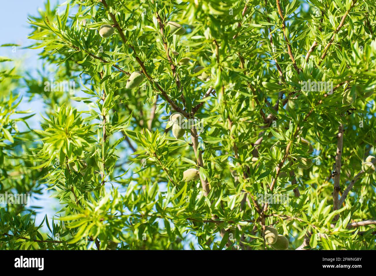 Ecological production hi-res stock photography and images - Alamy