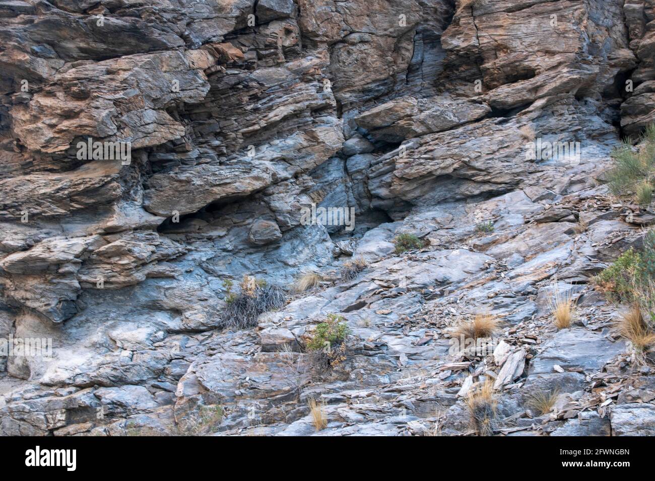 Mild steel gate hi-res stock photography and images - Alamy