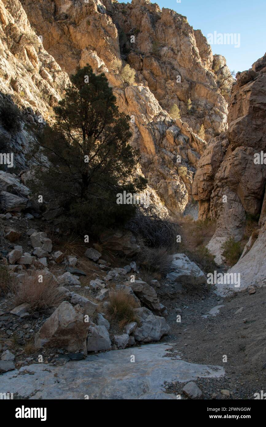 Mild steel gate hi-res stock photography and images - Alamy