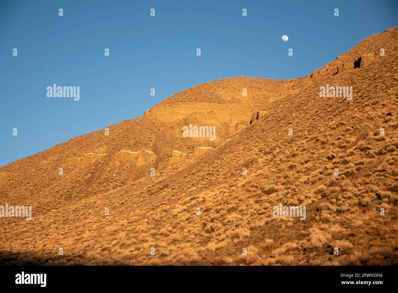 Mild Steel Gate High Resolution Stock Photography and Images - Alamy