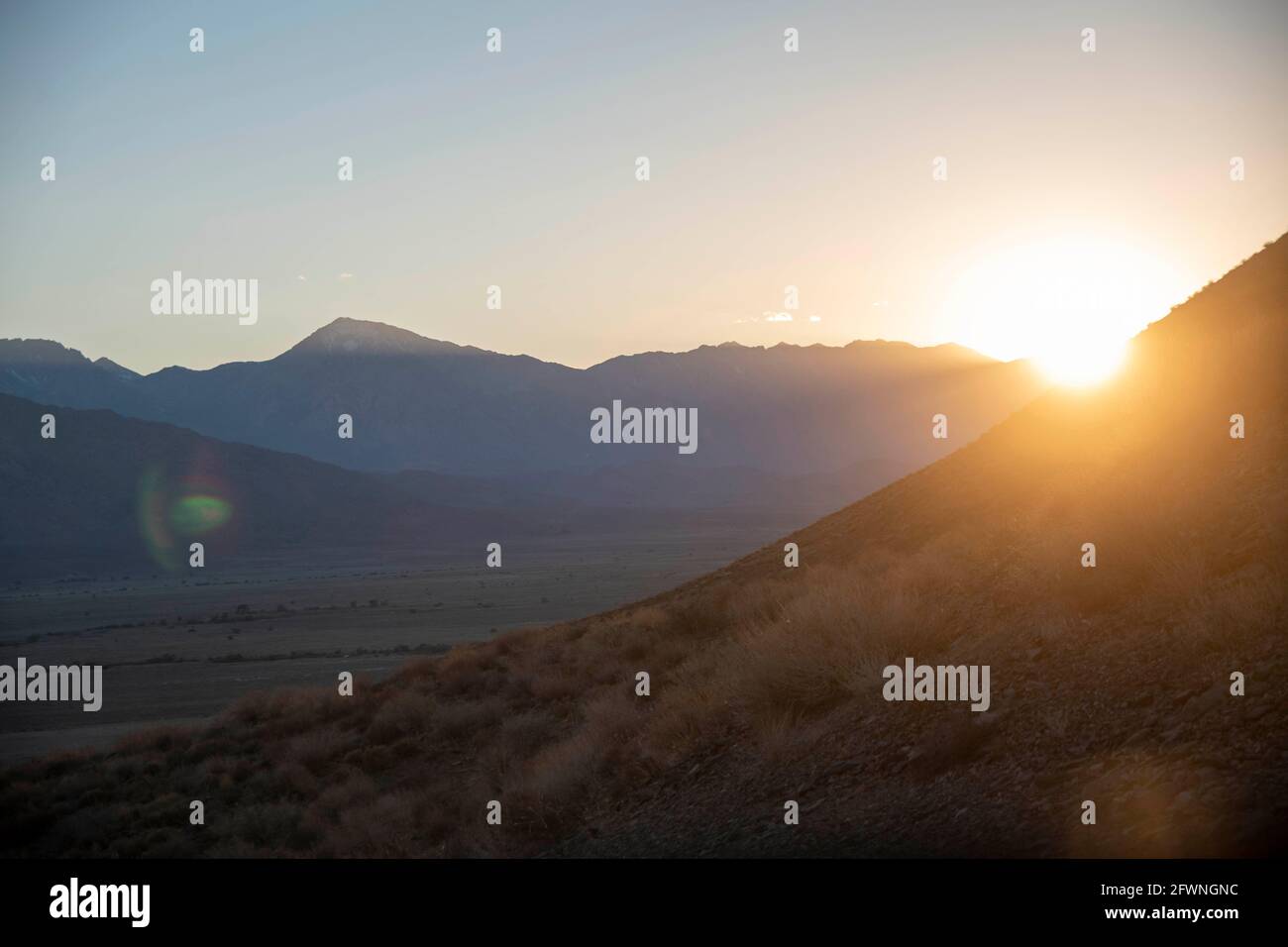 Mild steel gate hi-res stock photography and images - Alamy