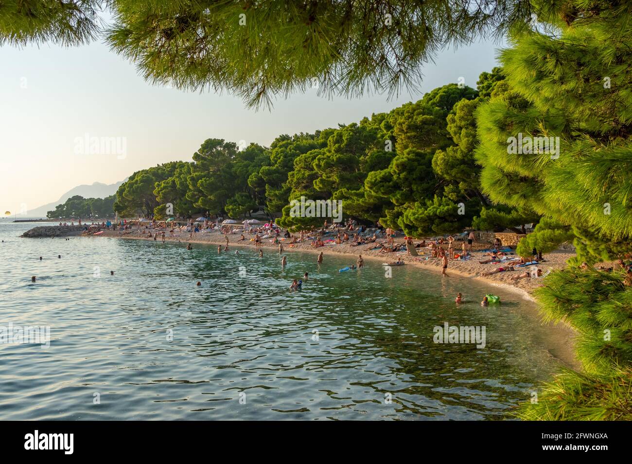 Beautiful beach in Makarska Riviera, Dalmatia, Croatia Stock Photo - Alamy