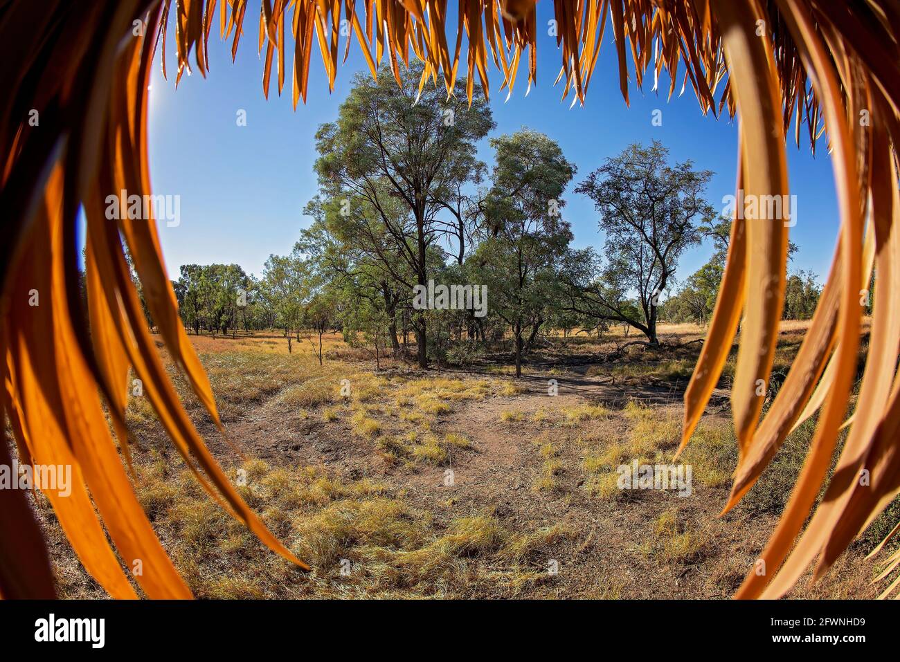 Looking through a bird hide with straw around window into the ...