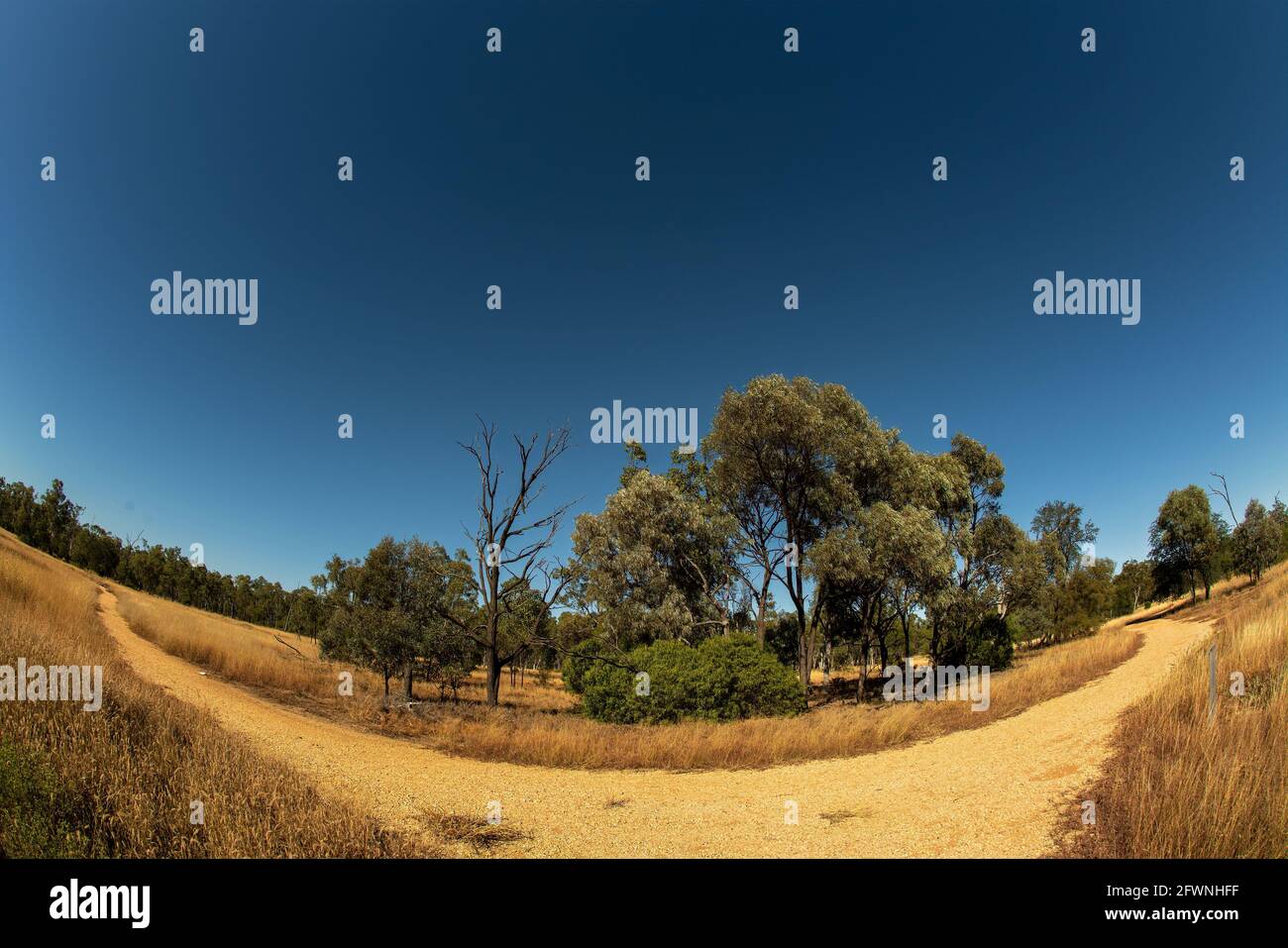 The walking track through the australian bush hi-res stock photography ...