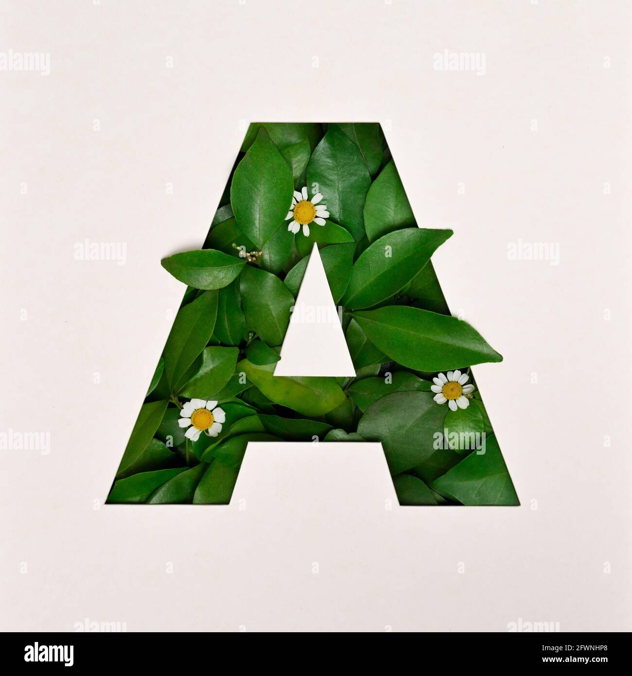 Font design, Abstract alphabet font with leaves and flower, realistic ...
