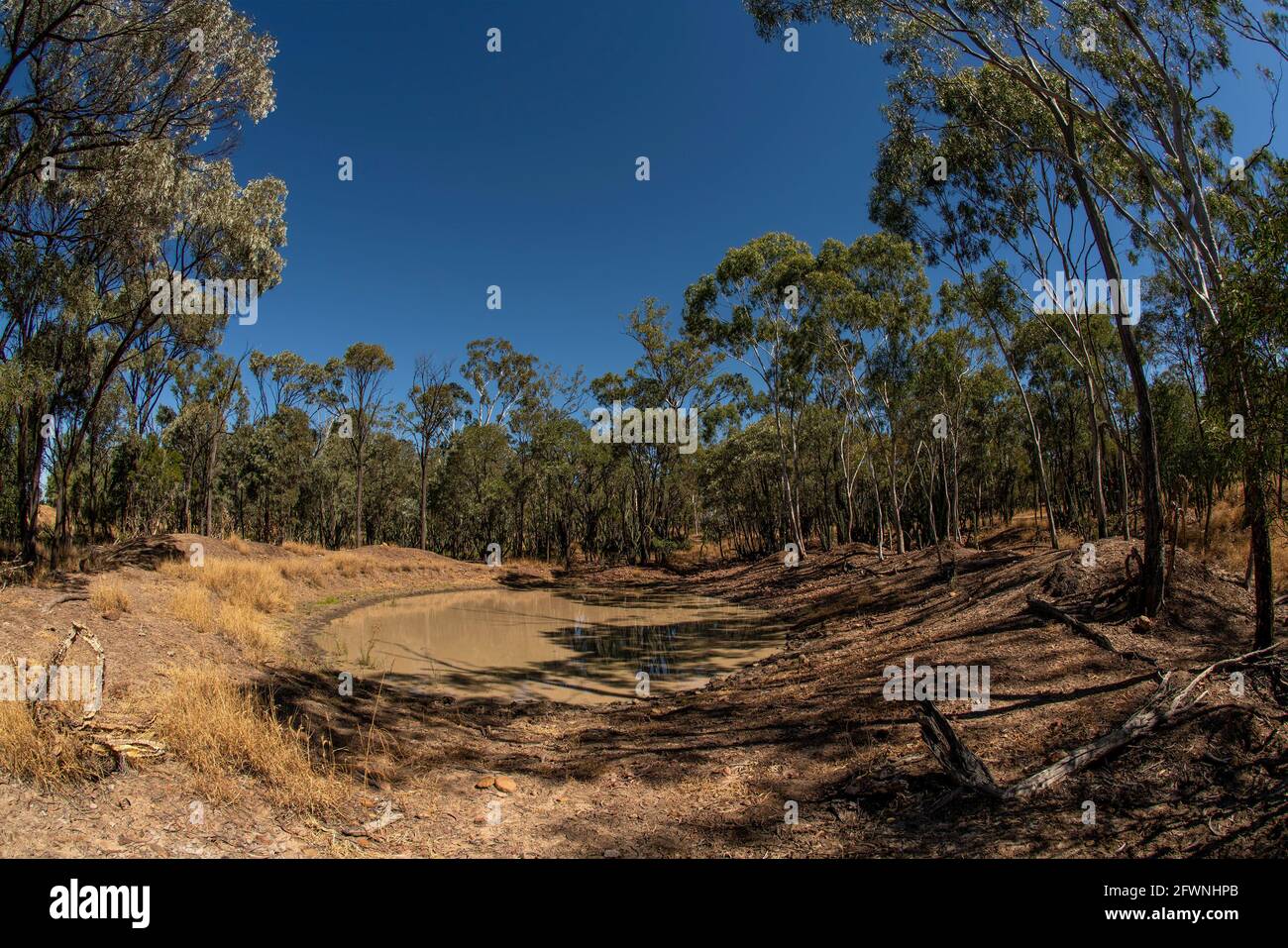 A small dam on the prospecting fields of outback Australia, fish eye ...