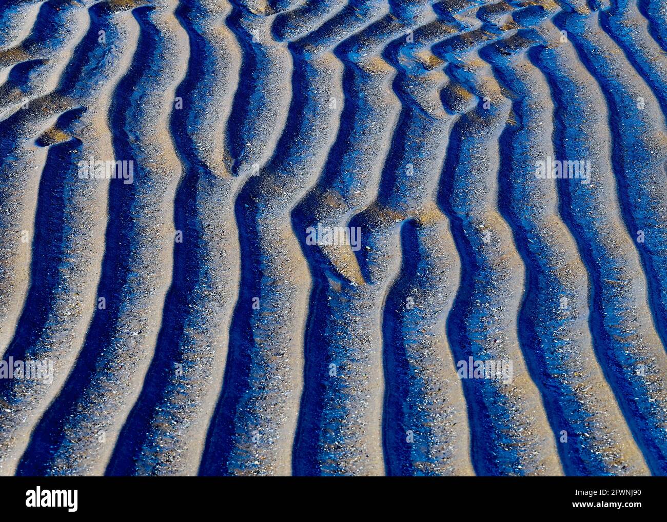 Ripples on sand on beach covered in ice on a cold day Stock Photo - Alamy