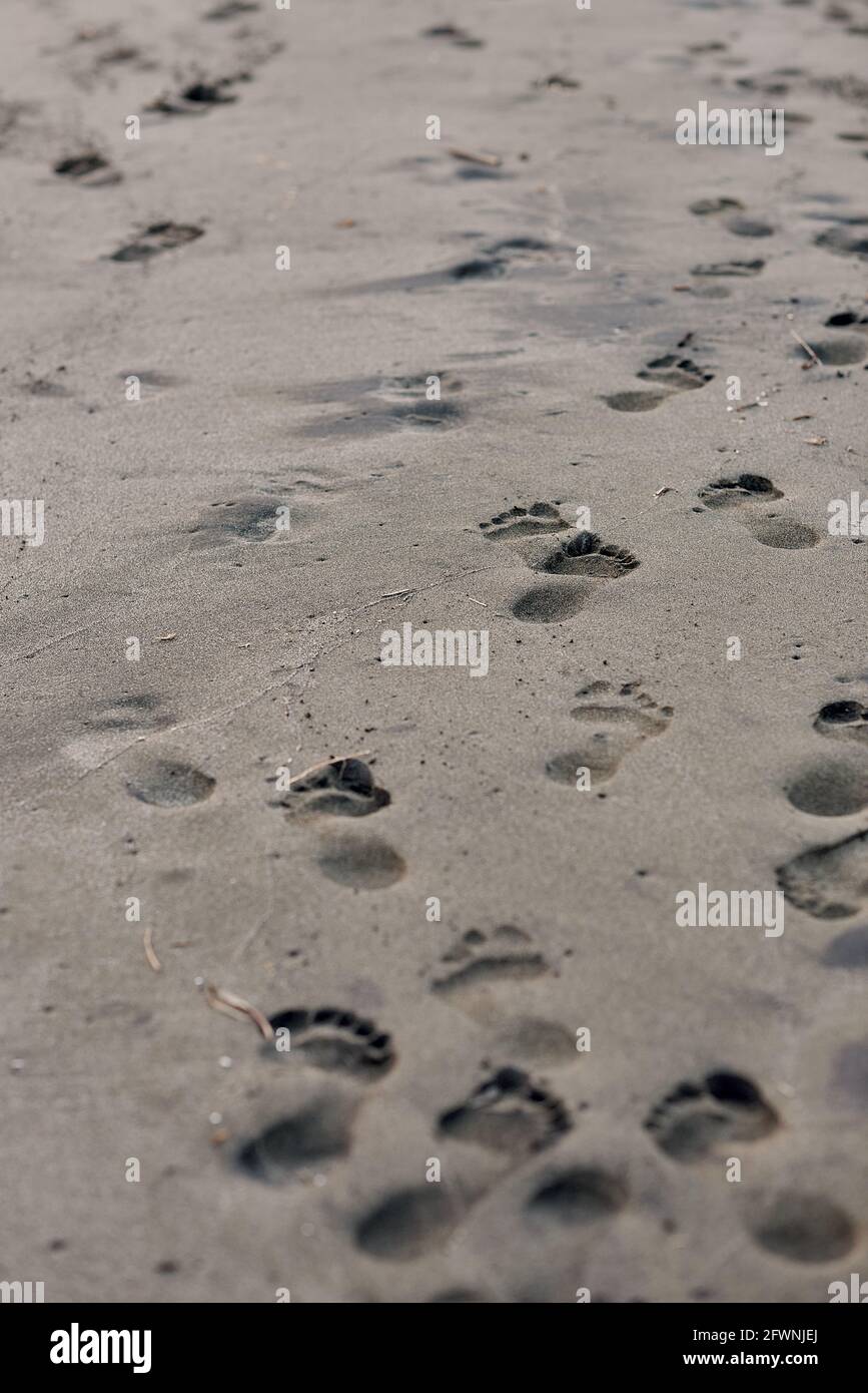 Footprints in the sand in grey color go into the distance, vertical ...