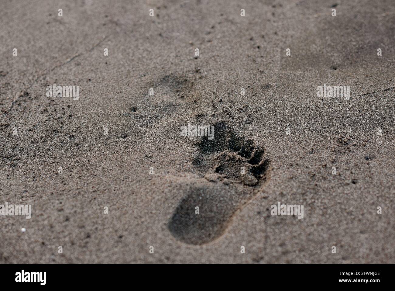 Footprint in the sand in grey color, horizontal image Stock Photo - Alamy