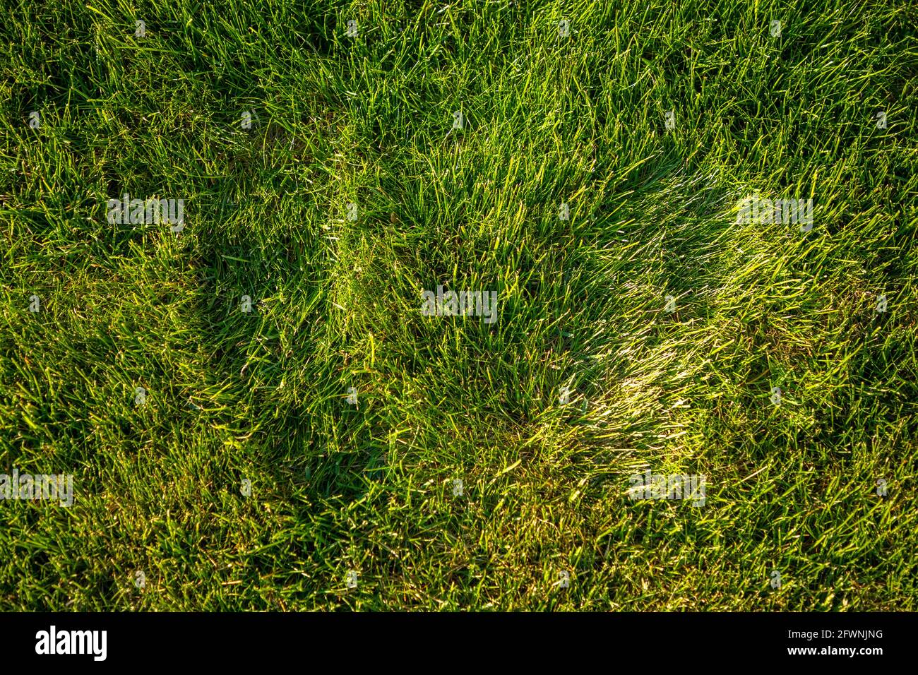 Ecological footprints hi-res stock photography and images - Alamy