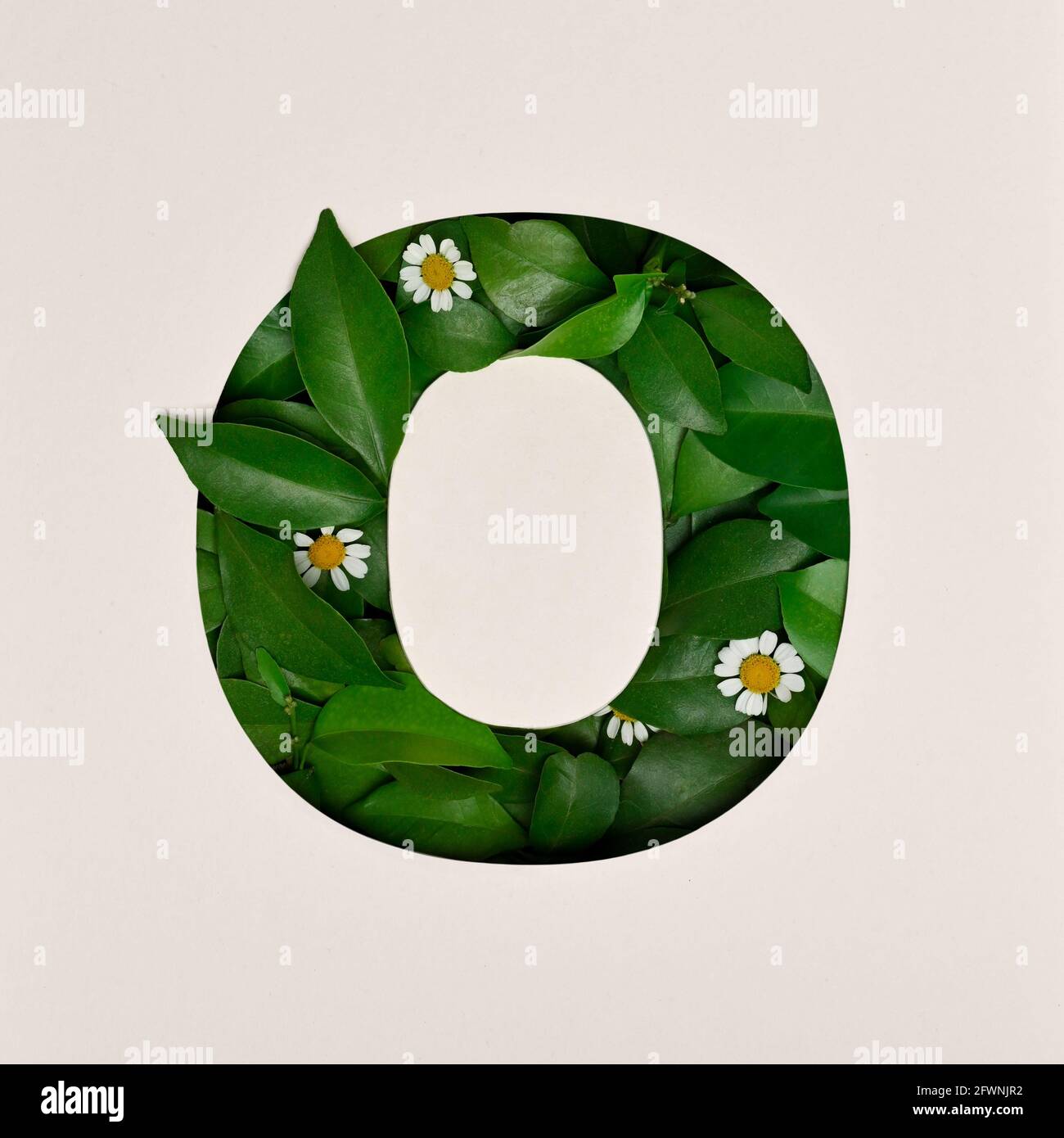 Font design, Abstract alphabet font with leaves and flower, realistic ...