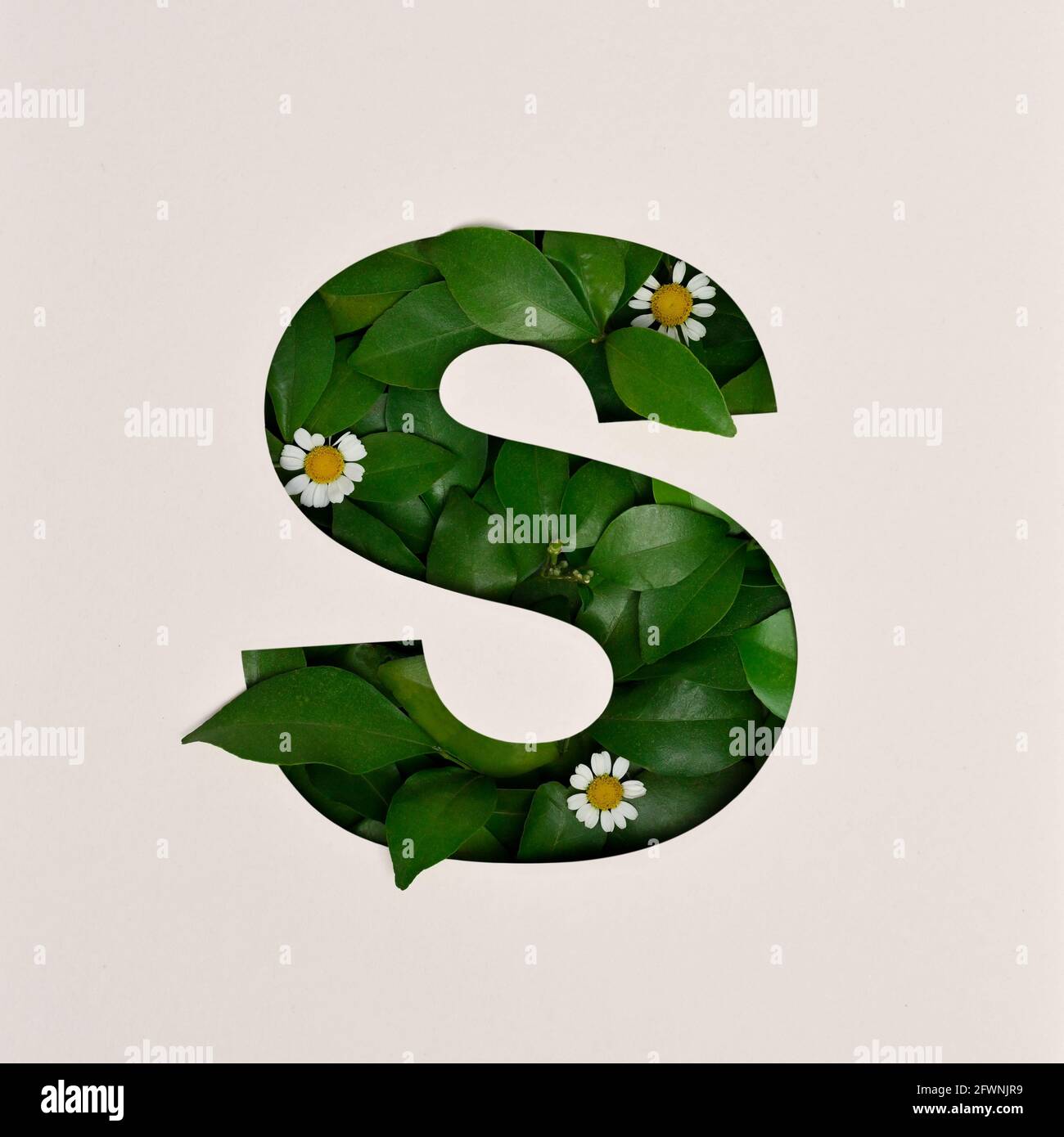Font design, Abstract alphabet font with leaves and flower, realistic ...