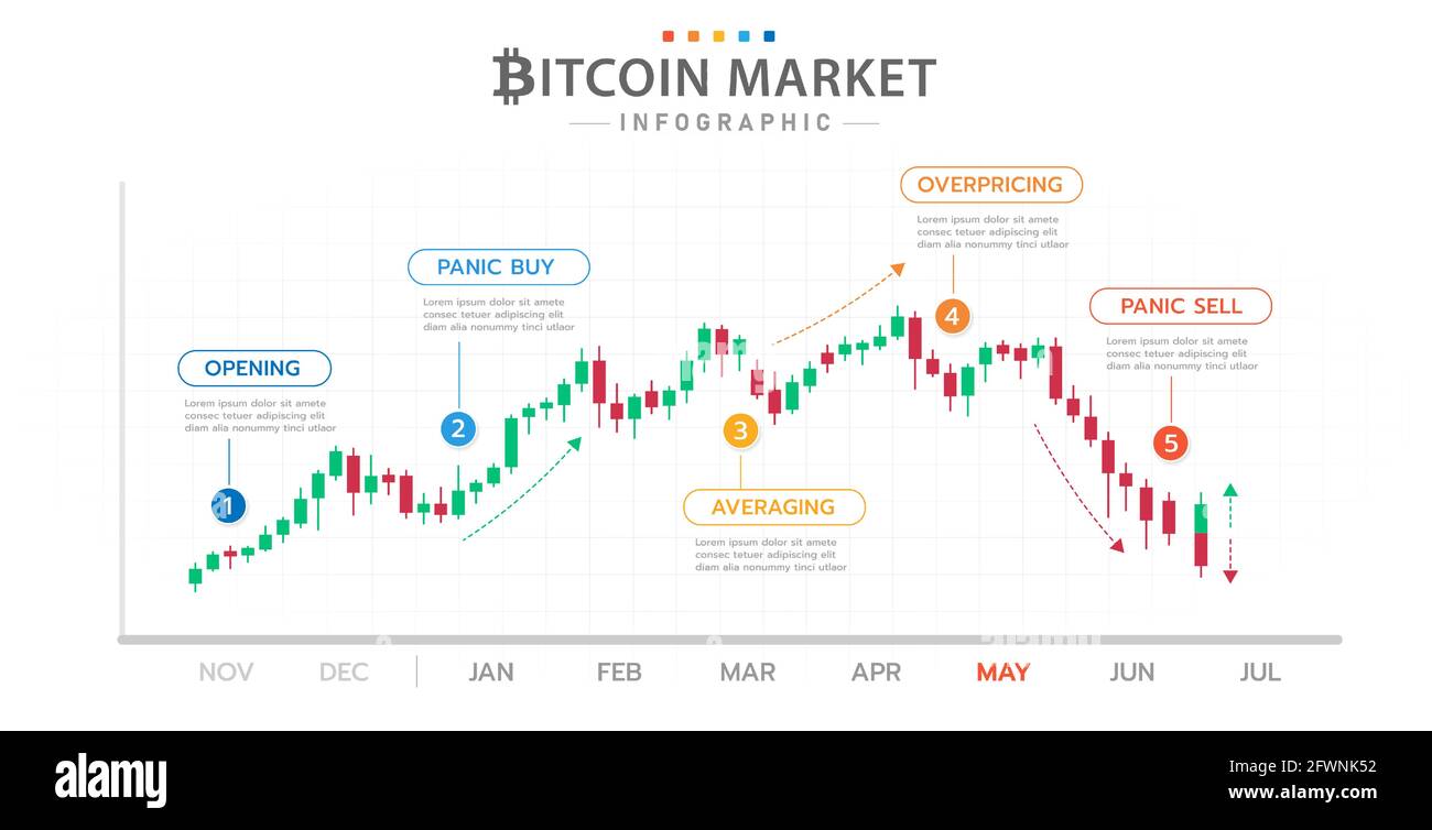 Infographic template for business. Bitcoin Timeline diagram with market ...