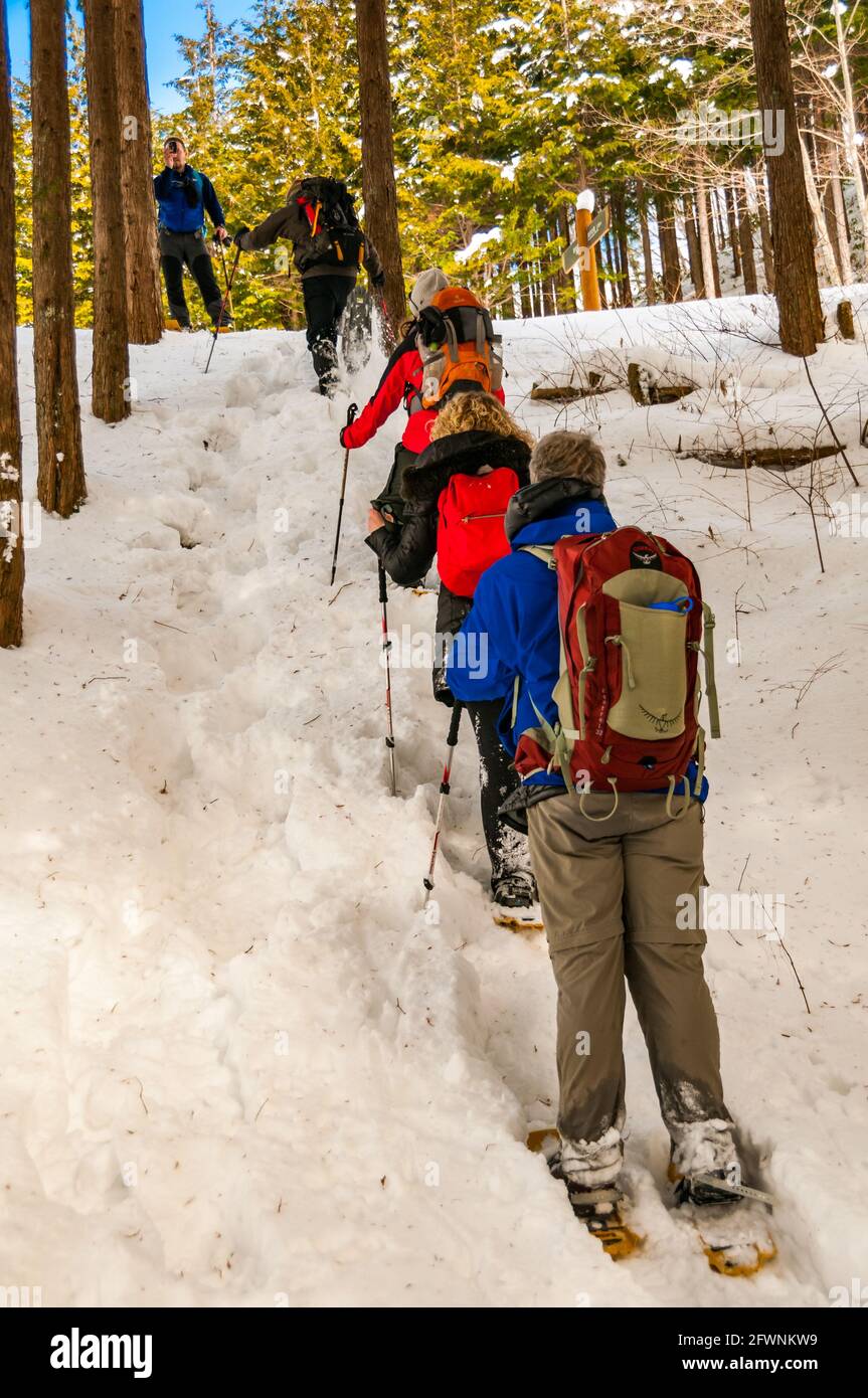 Walking with snow shoes up the Jizo Pass along the old Hida Highway ...
