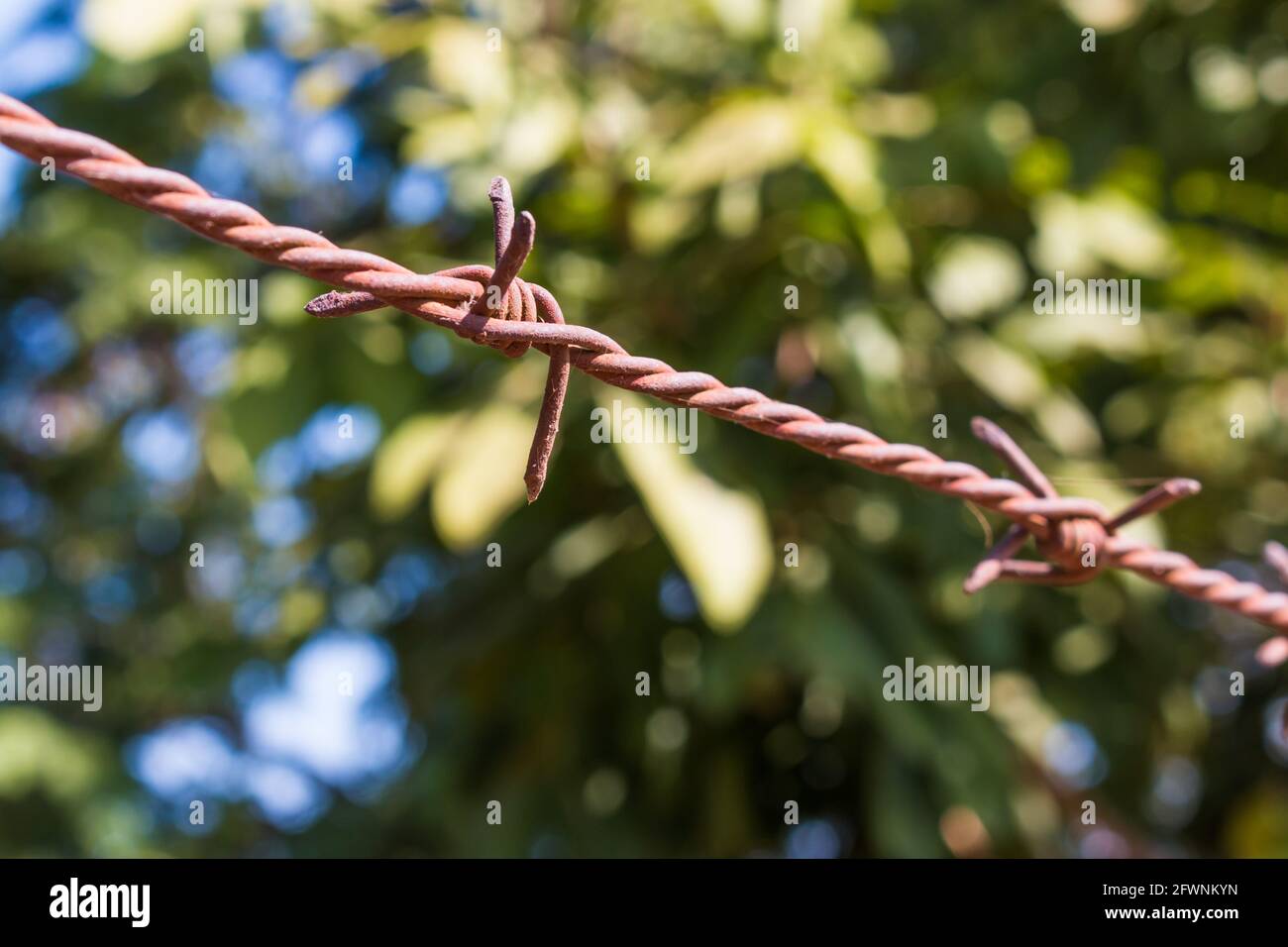 Barbed wire on railing hi-res stock photography and images - Alamy