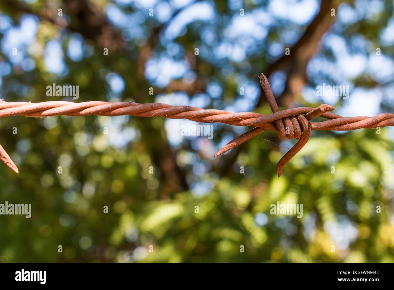 Barbed wire on railing hi-res stock photography and images - Alamy