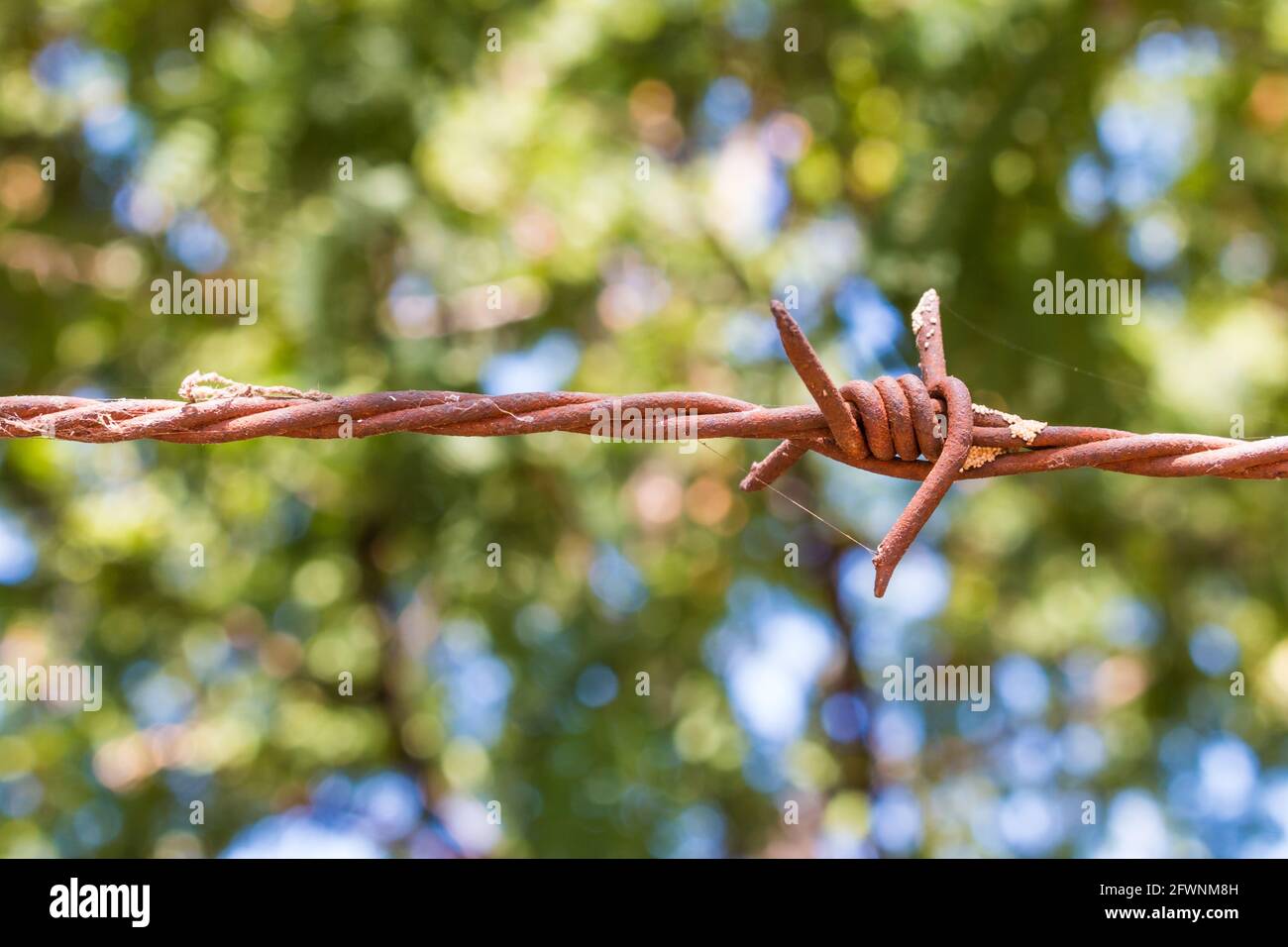 Rusty iron railing prison hi-res stock photography and images - Alamy
