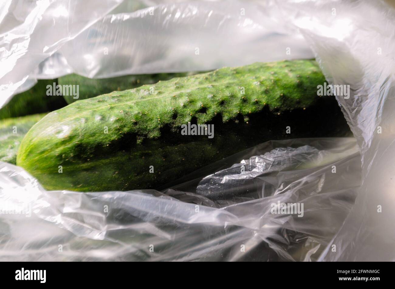 Plastic bag pollution hi-res stock photography and images - Alamy