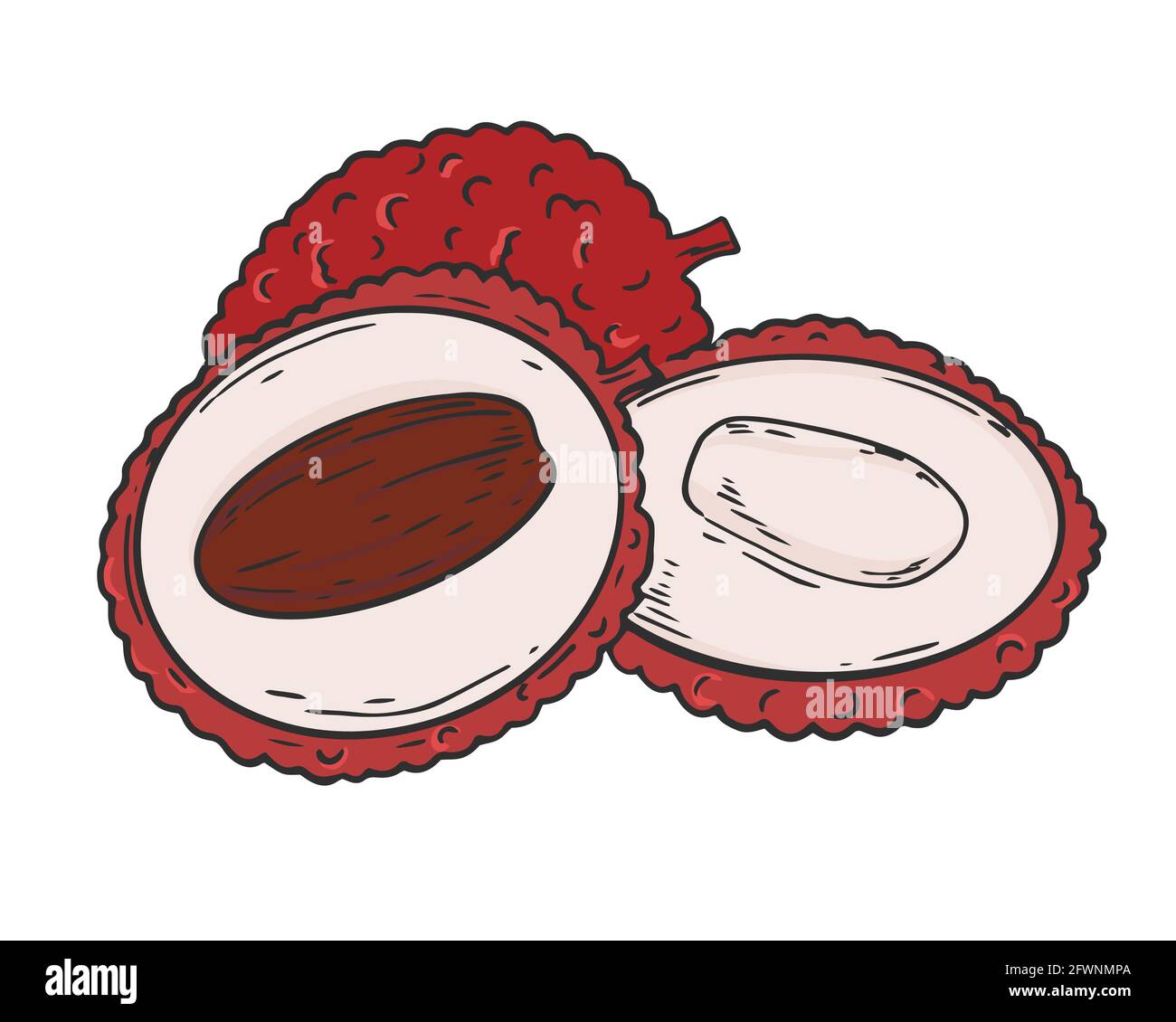 Fresh lychee fruits, whole and rug. Vector. Isolated object litchi on ...
