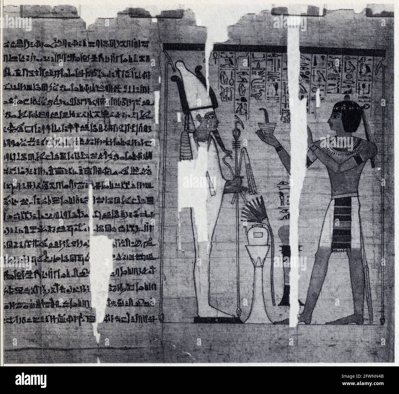 Papyrus book hi-res stock photography and images - Alamy