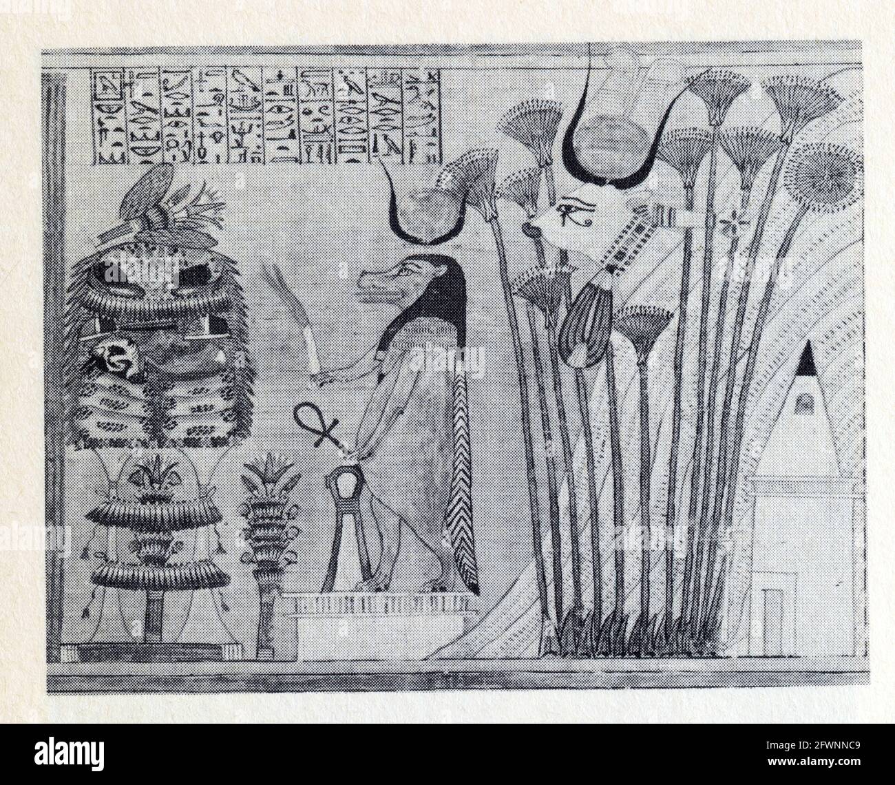 The hippopotamus goddess Taweret standing holding a torch,ankh and sa ...