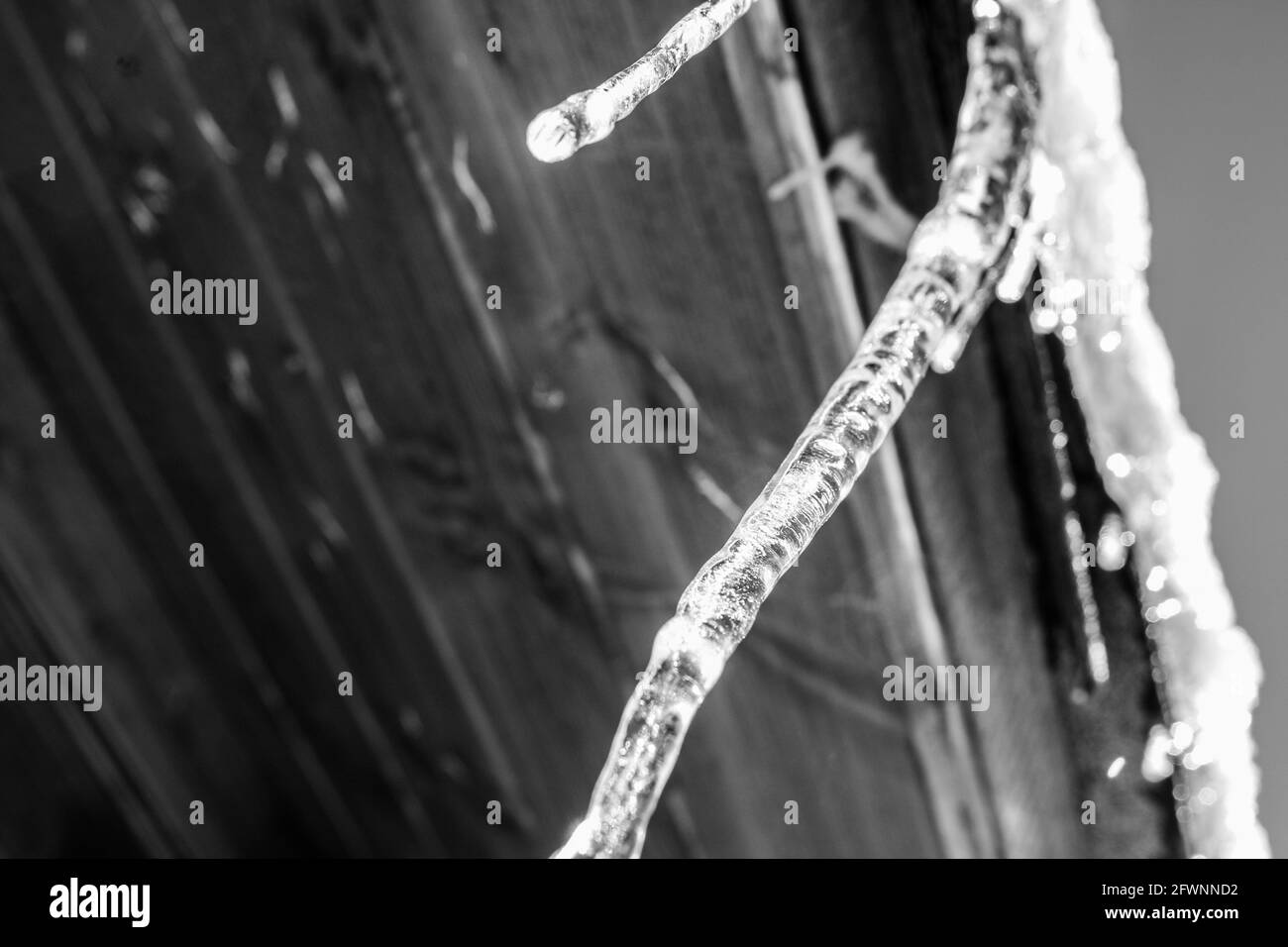 Ghiaccio roma hi-res stock photography and images - Alamy