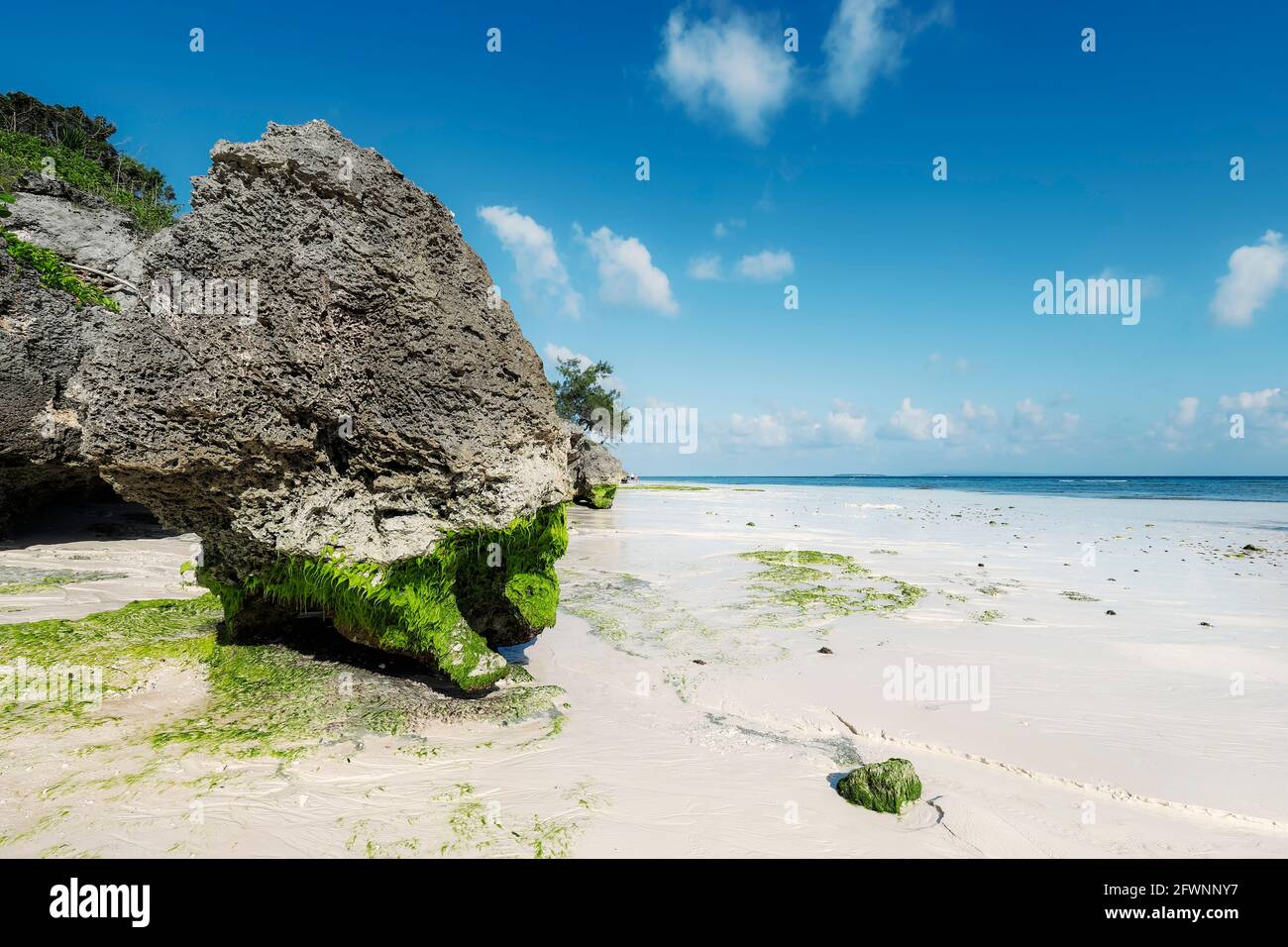 Limestone sea stack and eroding cliffs at beautiful white sand Bira ...