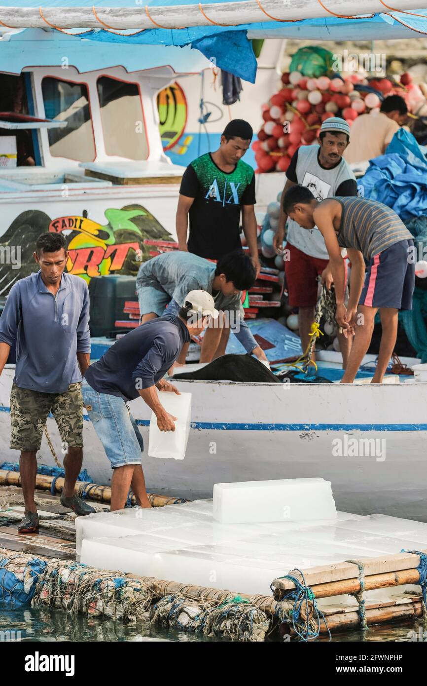 Fishermen load ice blocks for packing on to a fishing boat in the busy ...