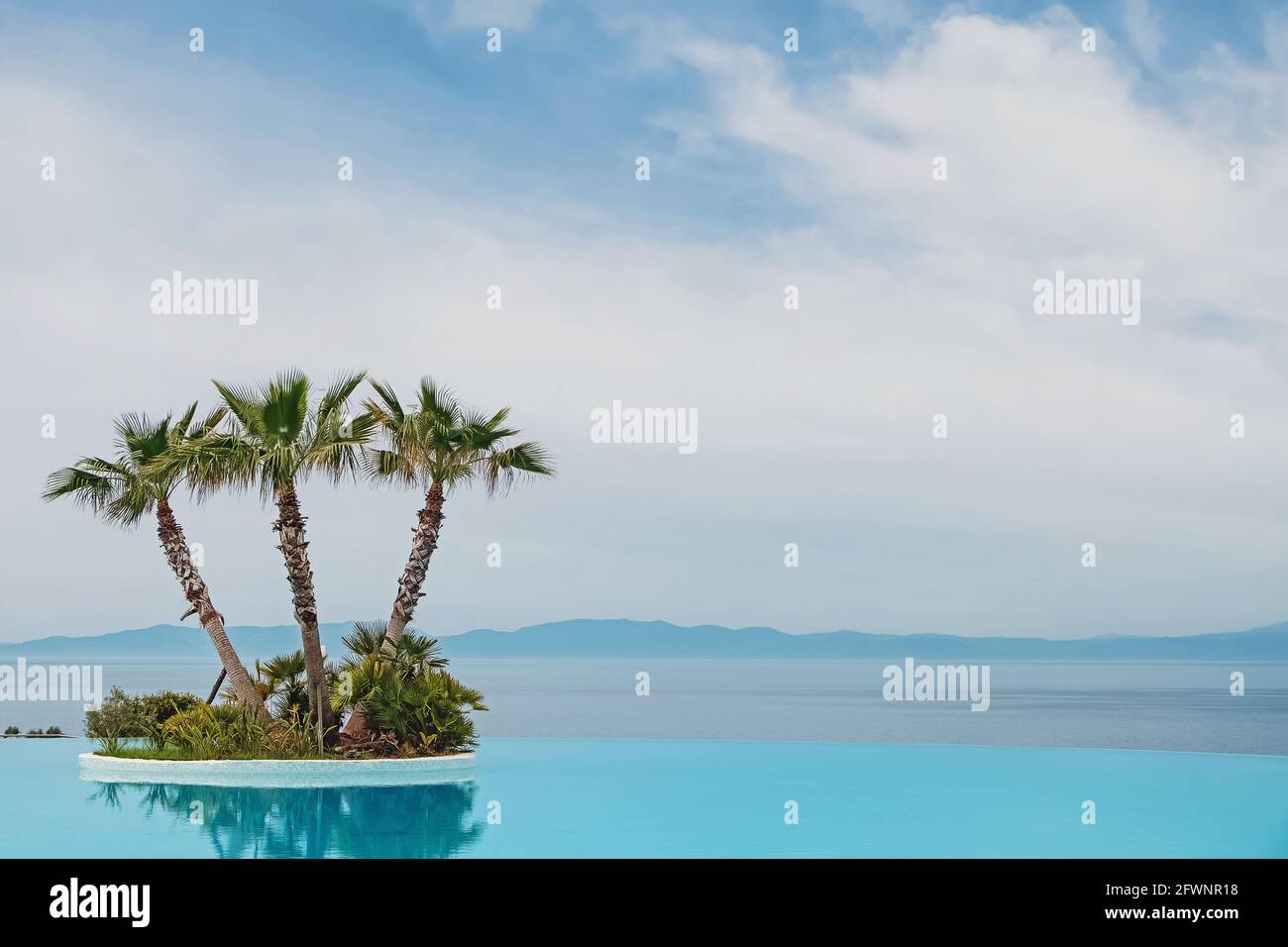 Big Infinity Luxury Swimming Pool with tropical palms Stock Photo - Alamy