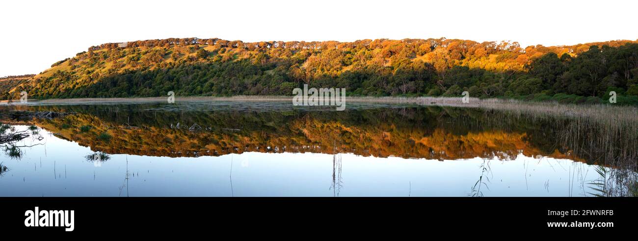 Tower Hill reserve, Victoria, Australia Stock Photo - Alamy