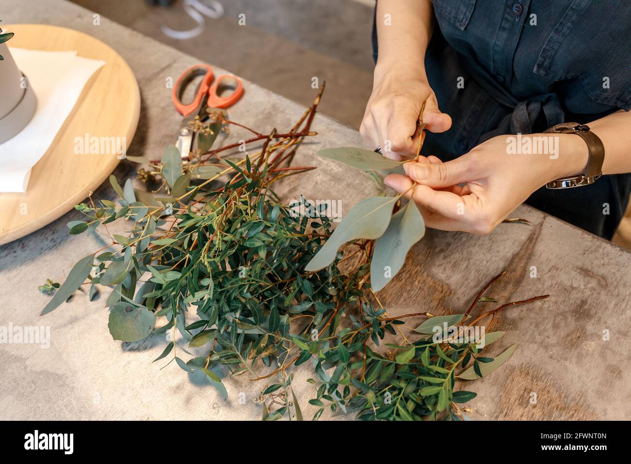 Woman hands are cutting plants, preparing them to create flower ...