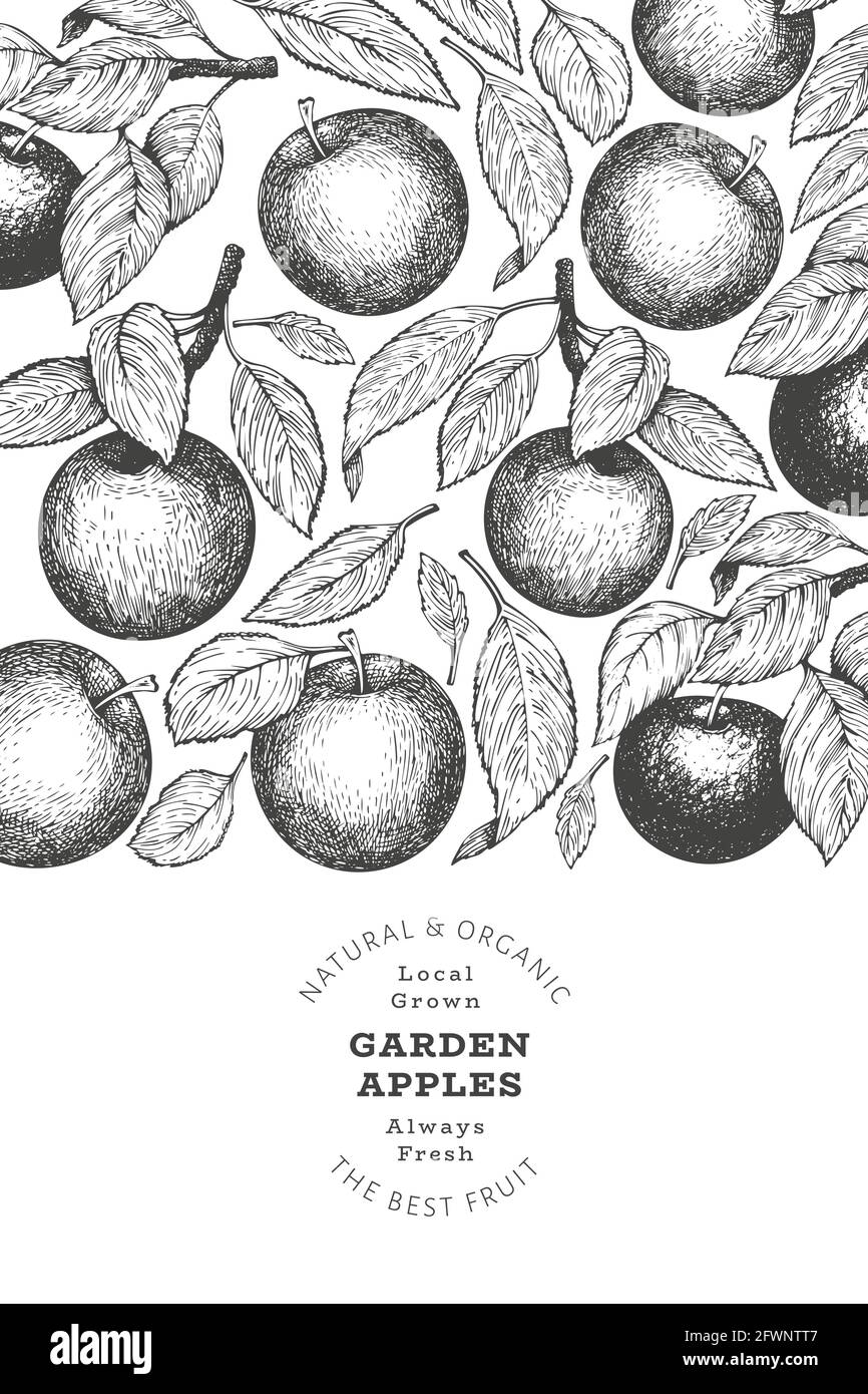 Apple branch design template. Hand drawn vector garden fruit ...