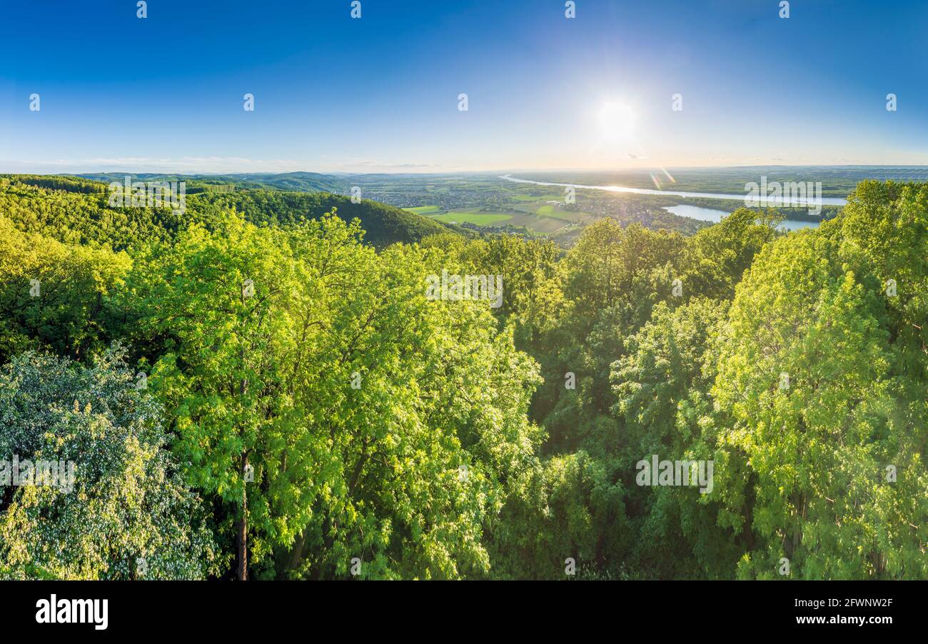 View from the danube tower in the wienerwald vienna woods hi-res stock ...