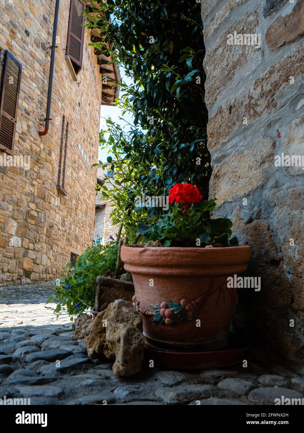 Vertical shot of blooming flowers on an alleyway with old brick ...