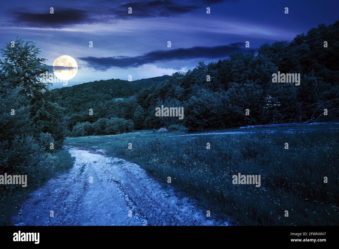 dirt road through forested countryside at night. beautiful summer rural ...