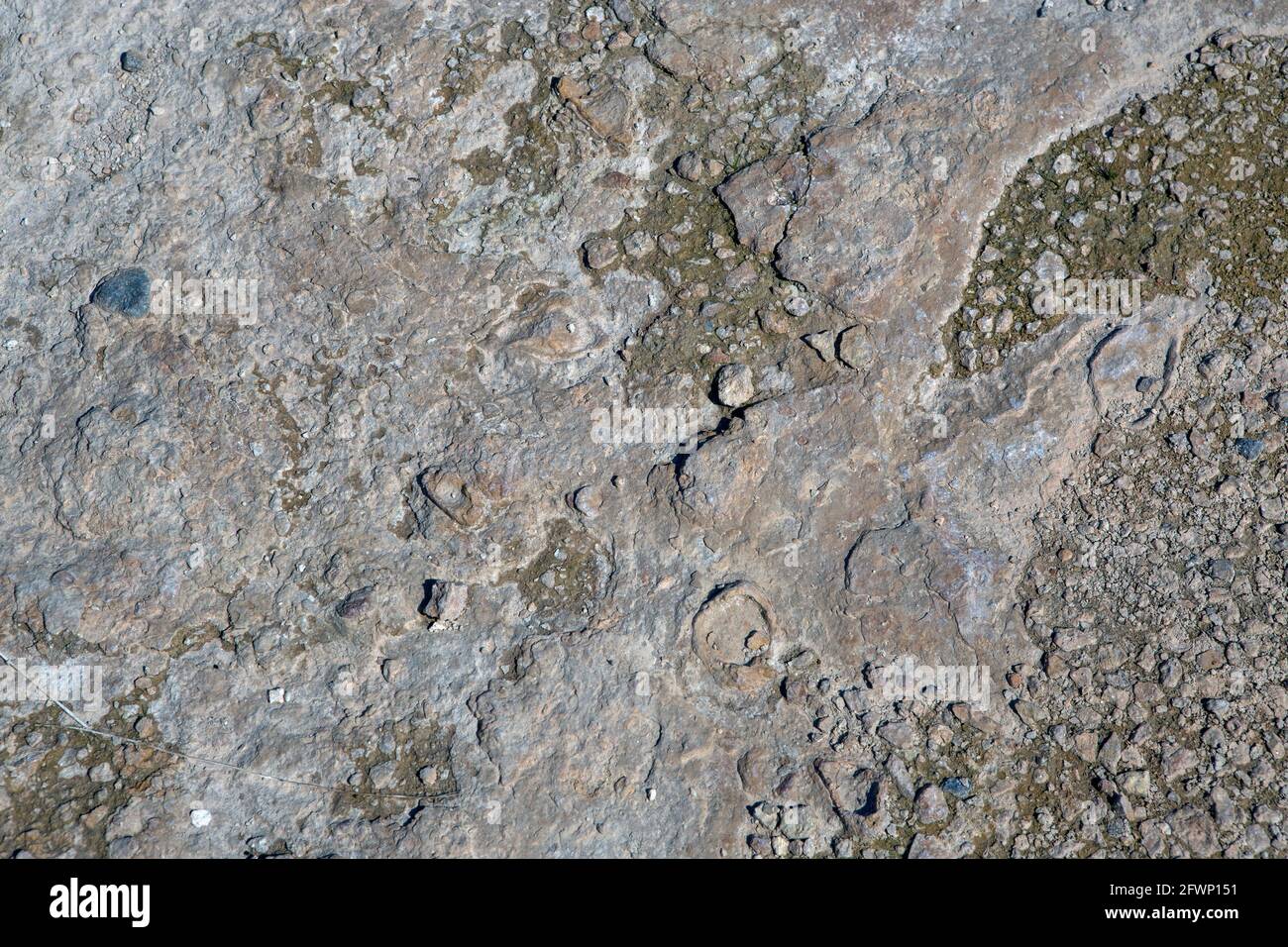 Desert floor rocks hi-res stock photography and images - Alamy