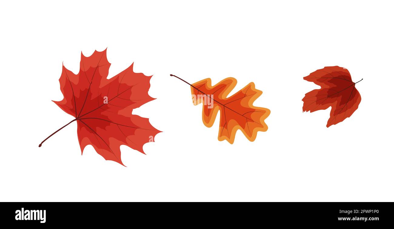 Colorful Vivid Autumn Falling Leaves. Vector Illustration Stock Vector ...