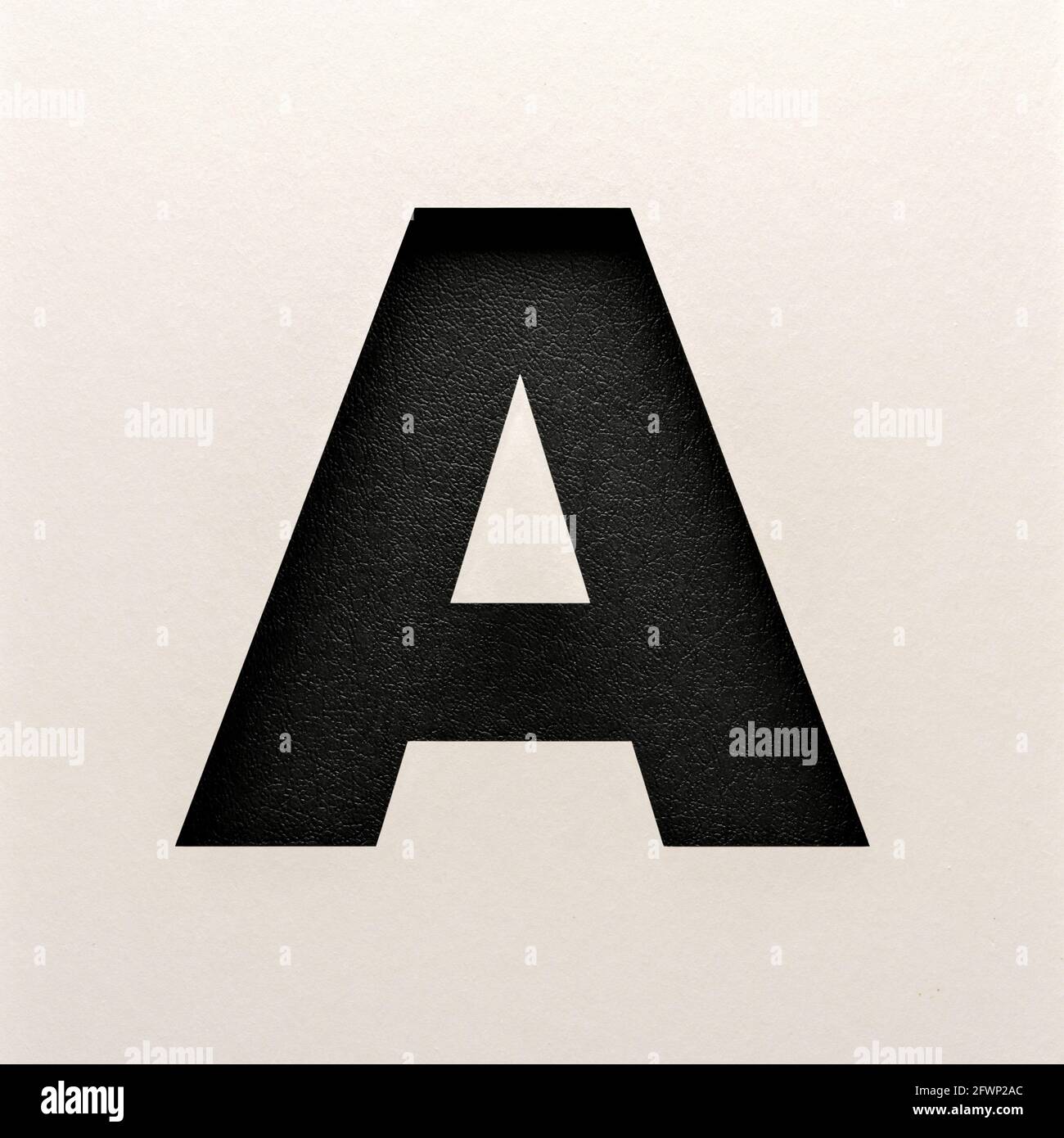 Black leather Font design, Abstract alphabet font, realistic typography ...