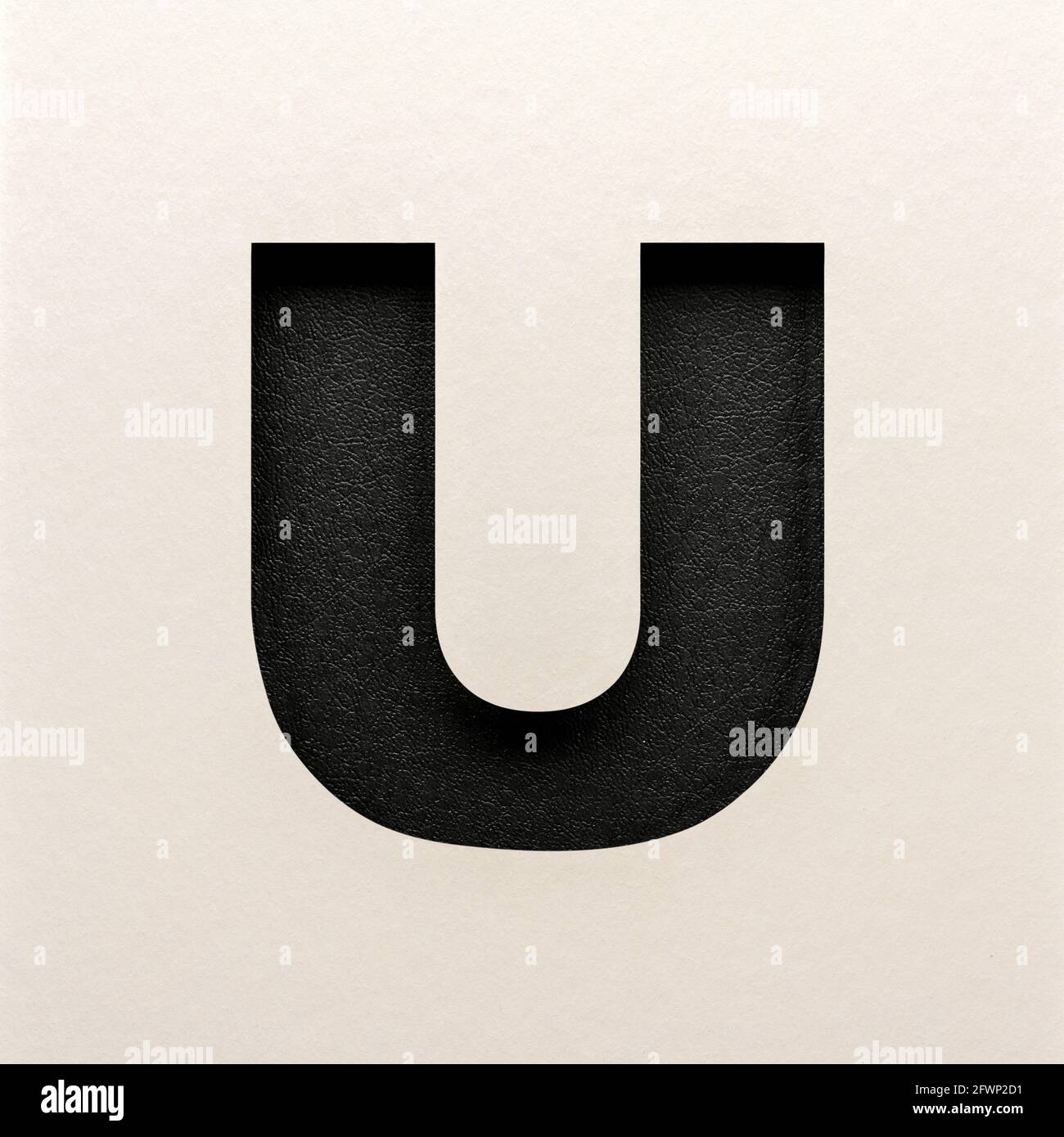 Black leather Font design, Abstract alphabet font, realistic typography ...