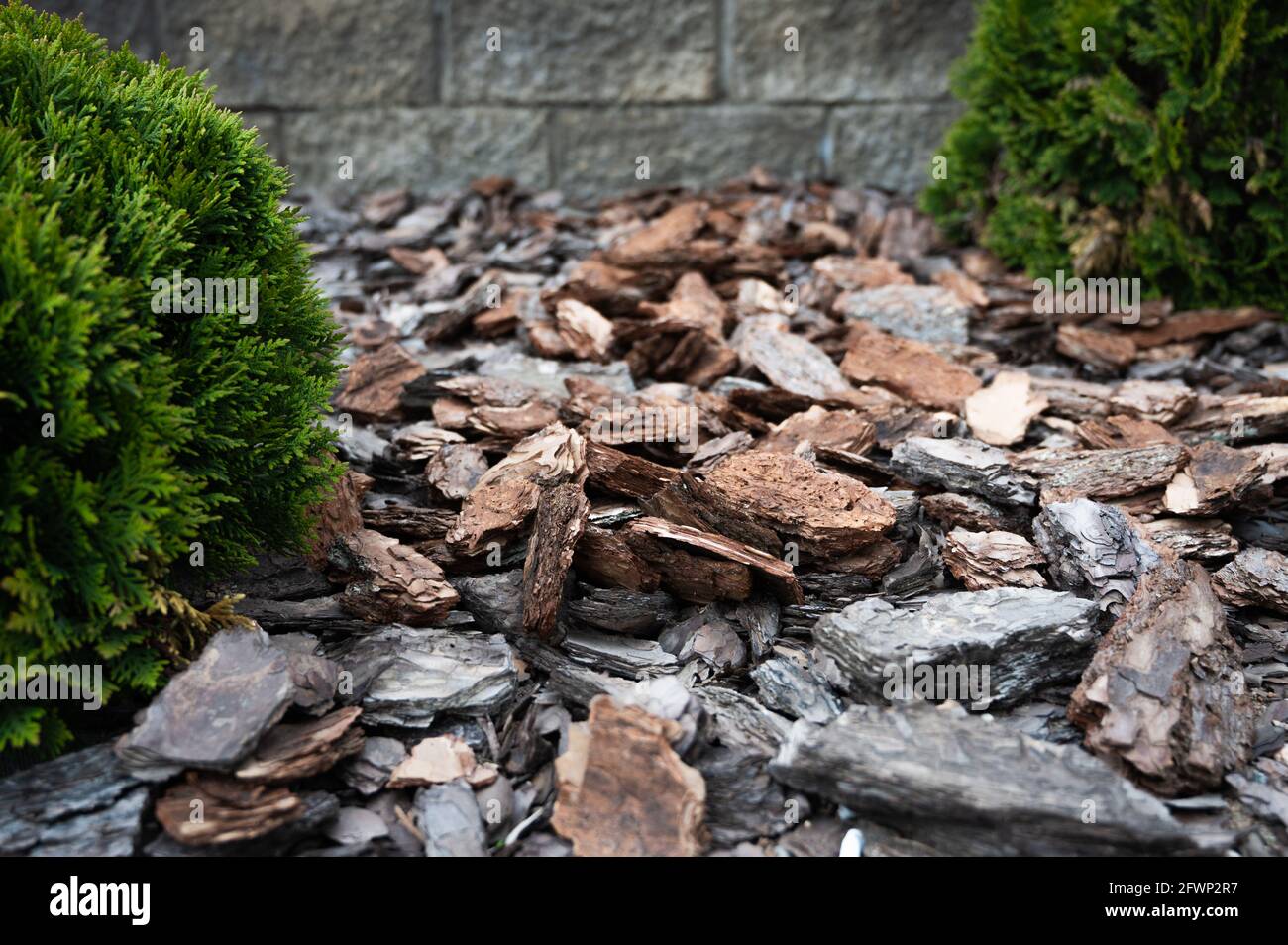 pieces of pine bark, decorative lawn covering, element of landscape ...