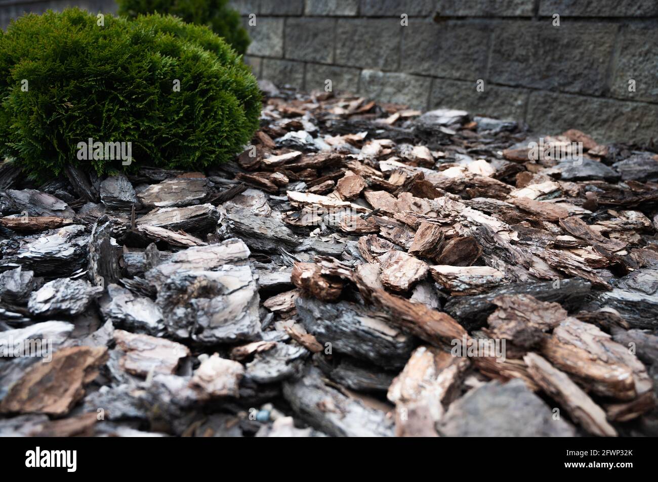 pieces of pine bark, decorative lawn covering, element of landscape ...