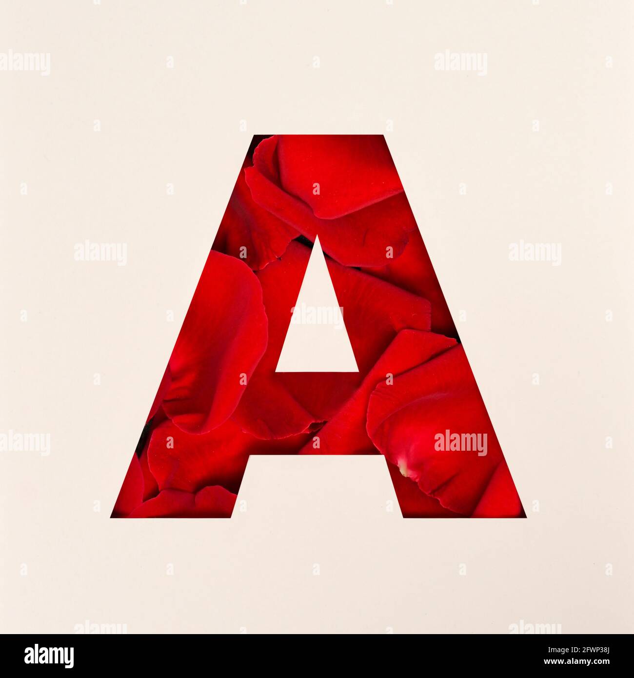 Font design, Abstract alphabet font with Rose petals, realistic flower ...