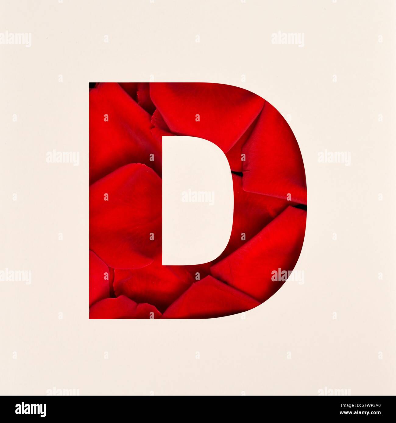 Font design, Abstract alphabet font with Rose petals, realistic flower ...