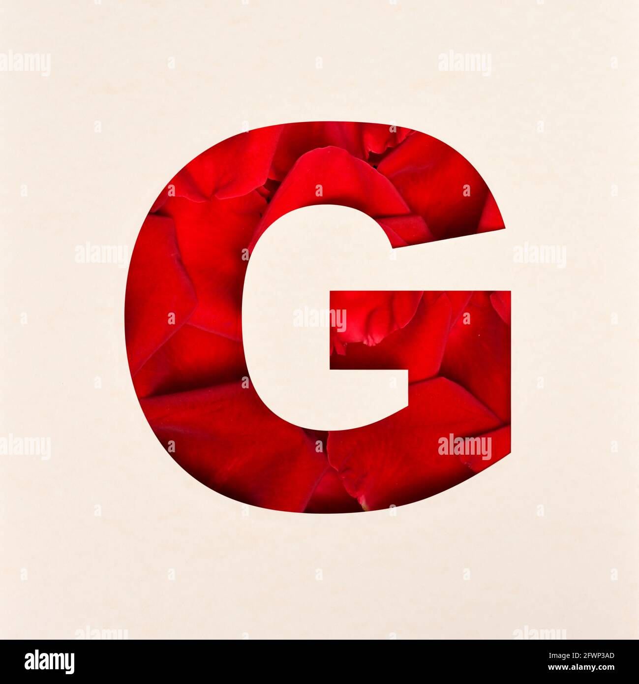 Font design, Abstract alphabet font with Rose petals, realistic flower ...