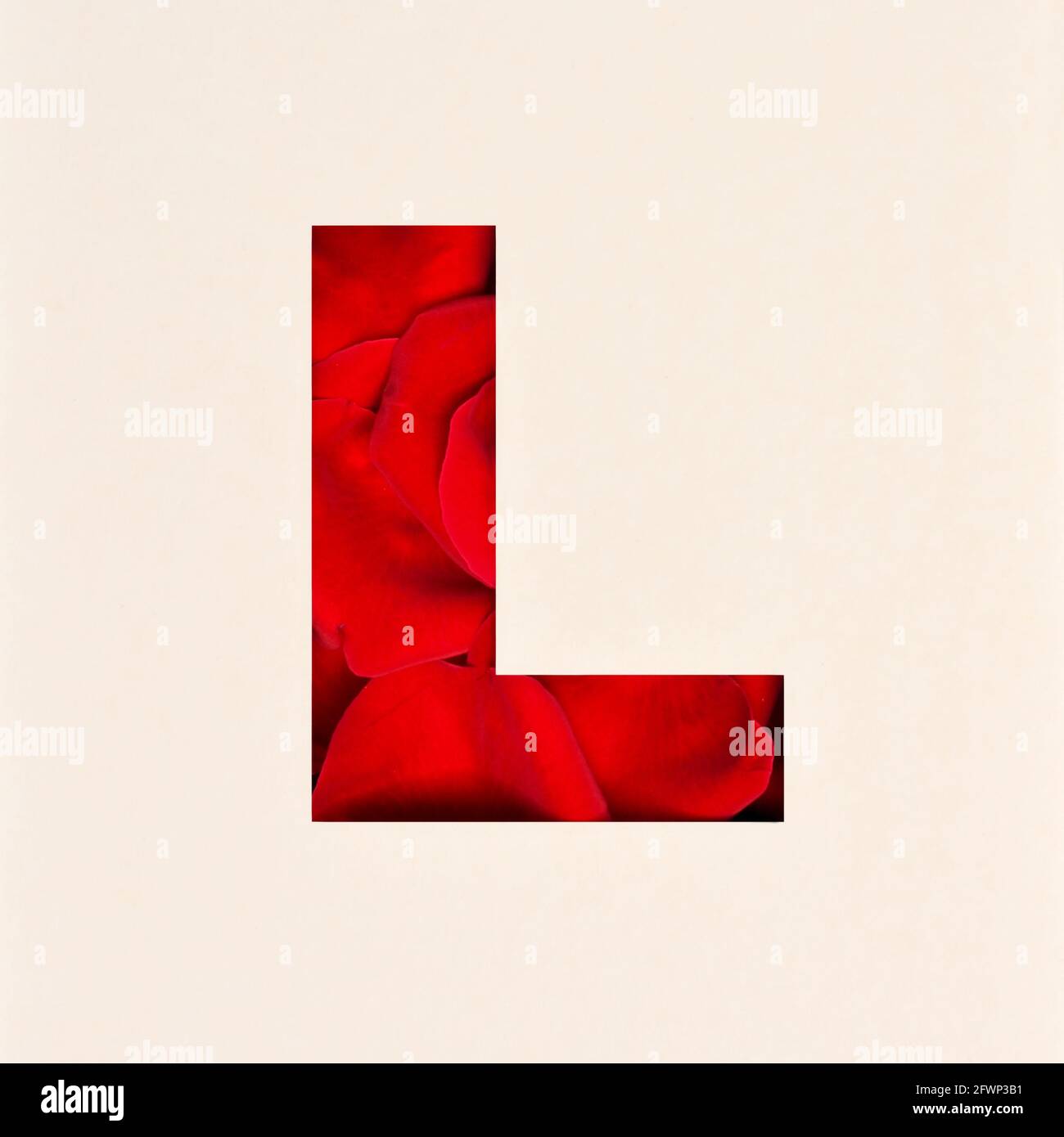 Font design, Abstract alphabet font with Rose petals, realistic flower ...