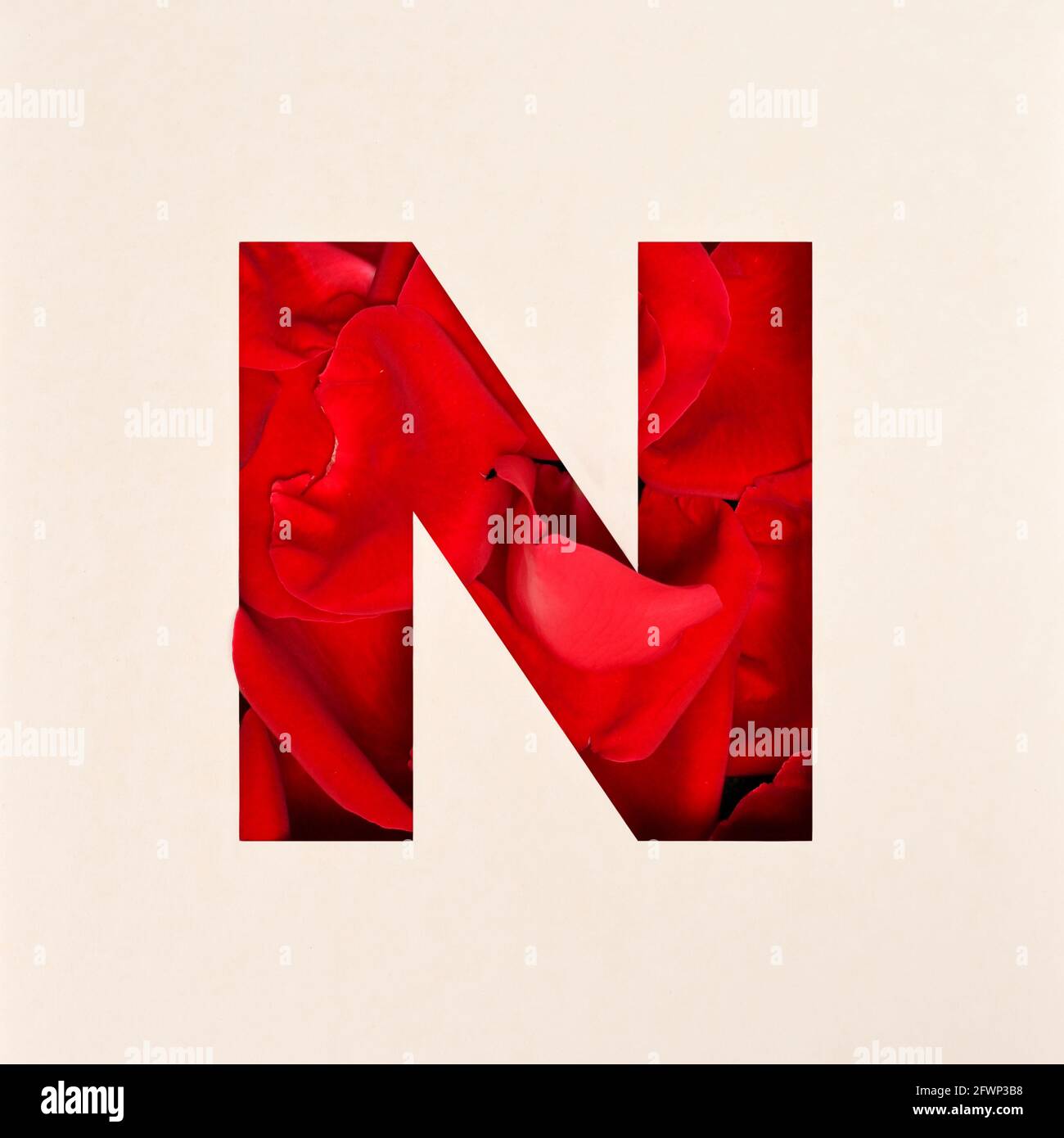 Font design, Abstract alphabet font with Rose petals, realistic flower ...
